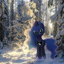 dolls | DISBOARD: Discord Server List