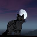 Discord servers tagged with wcue | DISBOARD