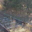 CREEKBALE // small town rp | DISBOARD: Discord Server List