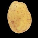 Discord servers tagged with Weird | DISBOARD