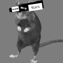 God save the rats | DISBOARD: Discord Server List