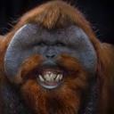 Middle Man Services | DISBOARD: Discord Server List