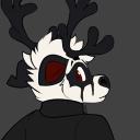 Moose Hideout | DISBOARD: Discord Server List