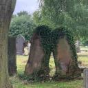 the cemetery ⸝⸝ | DISBOARD: Discord Server List