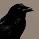 Discord servers tagged with homestuck | DISBOARD