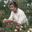 Retirement Home ||30+|| | DISBOARD: Discord Server List