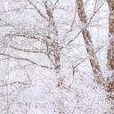 Discord servers tagged with Socializing | DISBOARD