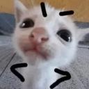 Goon Corner | DISBOARD: Discord Server List