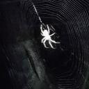 #NOVAGANG | DISBOARD: Discord Server List