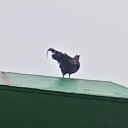 Lowkey Still Awake | DISBOARD: Discord Server List