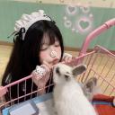 Enchanted Eclipse Academy | DISBOARD: Discord Server List