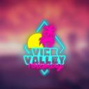 Vice Valley Roleplay Public Relations | DISBOARD: Discord Server List