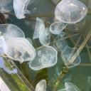 👸Queen Harley’s Enchanted Realm | DISBOARD: Discord Server List