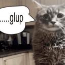 Discord servers tagged with relationship | DISBOARD