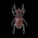 COR Gateway | DISBOARD: Discord Server List