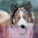 Zoo Haven Gateway | DISBOARD: Discord Server List