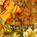 ⋆.ೃ࿔*:･ The Goon Cave ׂׂૢ | DISBOARD: Discord Server List