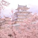 Discord servers tagged with pink | DISBOARD