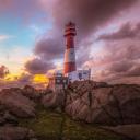 The lighthouse | DISBOARD: Discord 서버 게시판