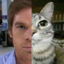 Discord servers tagged with dexter-morgan | DISBOARD