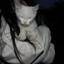 Discord servers tagged with 764 | DISBOARD