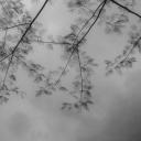 Discord servers tagged with packing | DISBOARD