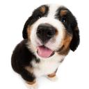 Discord servers tagged with minors | DISBOARD