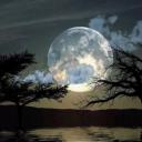 Discord servers tagged with tuff | DISBOARD