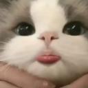 Discord servers tagged with bump-bot | DISBOARD