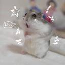 Discord servers tagged with packing | DISBOARD