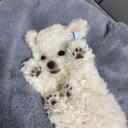 Discord servers tagged with dexter | DISBOARD