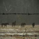 Discord servers tagged with rdr2 | DISBOARD