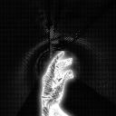 @oasis | DISBOARD: Discord Server List