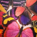 infinity | DISBOARD: Discord Server List