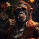 TRADE MONKEY | DISBOARD: Discord Server List