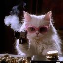 Digital sher | DISBOARD: Discord Server List