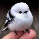 EdgyKawaiiGirℓs | DISBOARD: Discord Server List