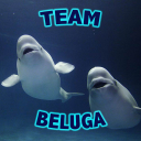 Team Beluga