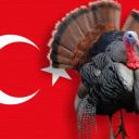 The Turkish Turkeys | DISBOARD: Servidores de Discord