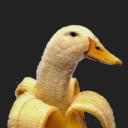 Discord servers tagged with ducks | DISBOARD