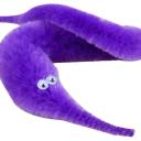 String Worm Kingdom | DISBOARD: Discord Server List