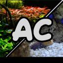 Comfy Plant talk Zone | DISBOARD: Discord Server List