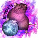 🌙🐁 MoonRats 🐁🌙 | DISBOARD: Discord Server List