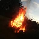 B𝕠𝕟𝕗𝕚𝕣𝕖 | DISBOARD: Discord Server List