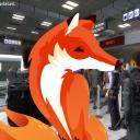 The Land Of The Fox | DISBOARD: Discord Server List