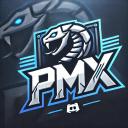 PMX Team | DISBOARD: Discord Server List