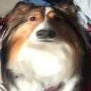 Boom boom British OK | DISBOARD: Discord Server List