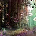 Enchanted Forest | DISBOARD: Discord Server List