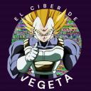 El Ciber De Vegeta | DISBOARD: Servidores de Discord