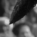 Discord servers tagged with Nation-RP | DISBOARD